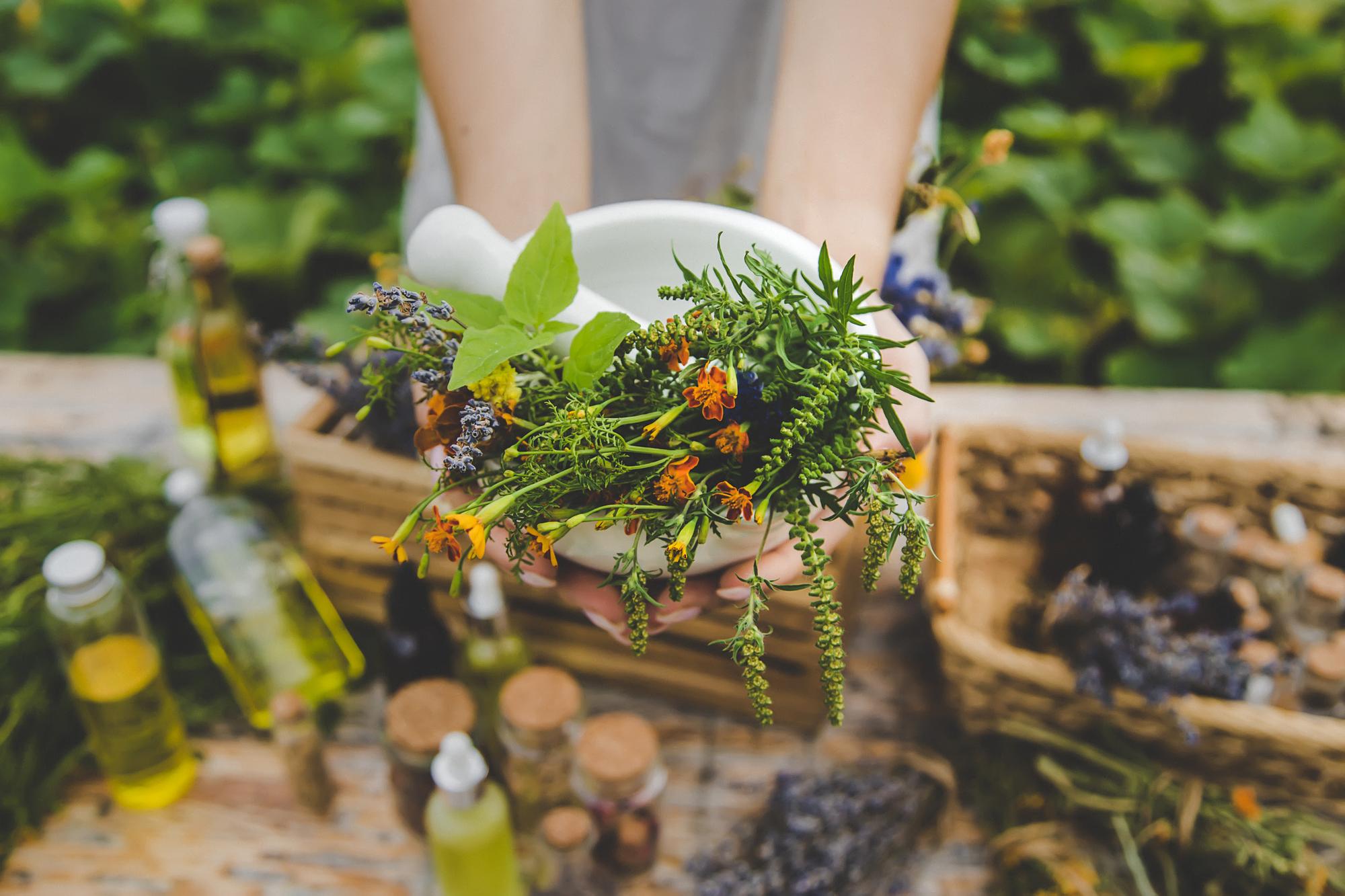 Difference Between Natural Herbs And Organic MRT Foods