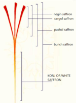 5 Types of Saffron - what is the difference between them? - MRT Foods